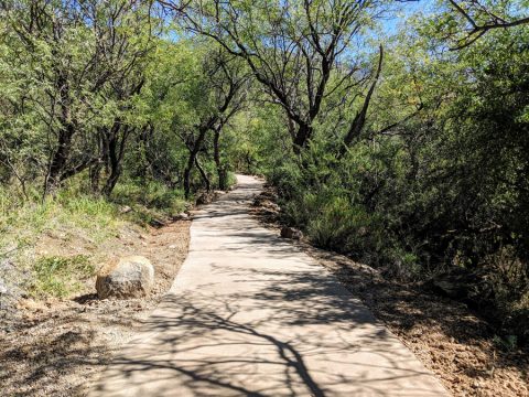 Hiking | Friends of Madera Canyon